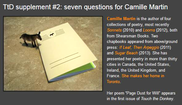 Seven questions for Camille Martin (Touch the Donkey supplement ...