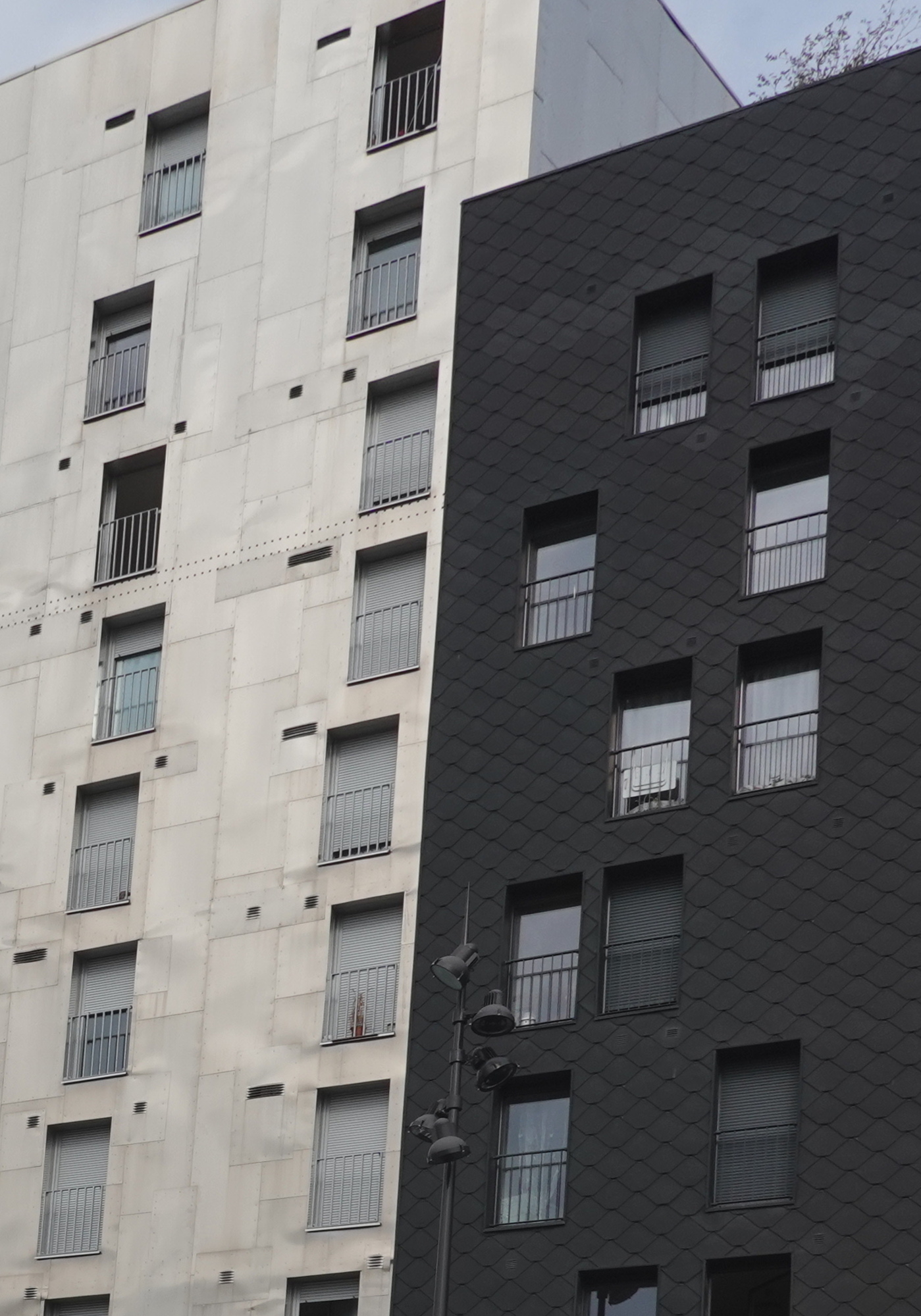 Paris Wanderlust: Scenes of Urban Development in Paris | Rogue Embryo