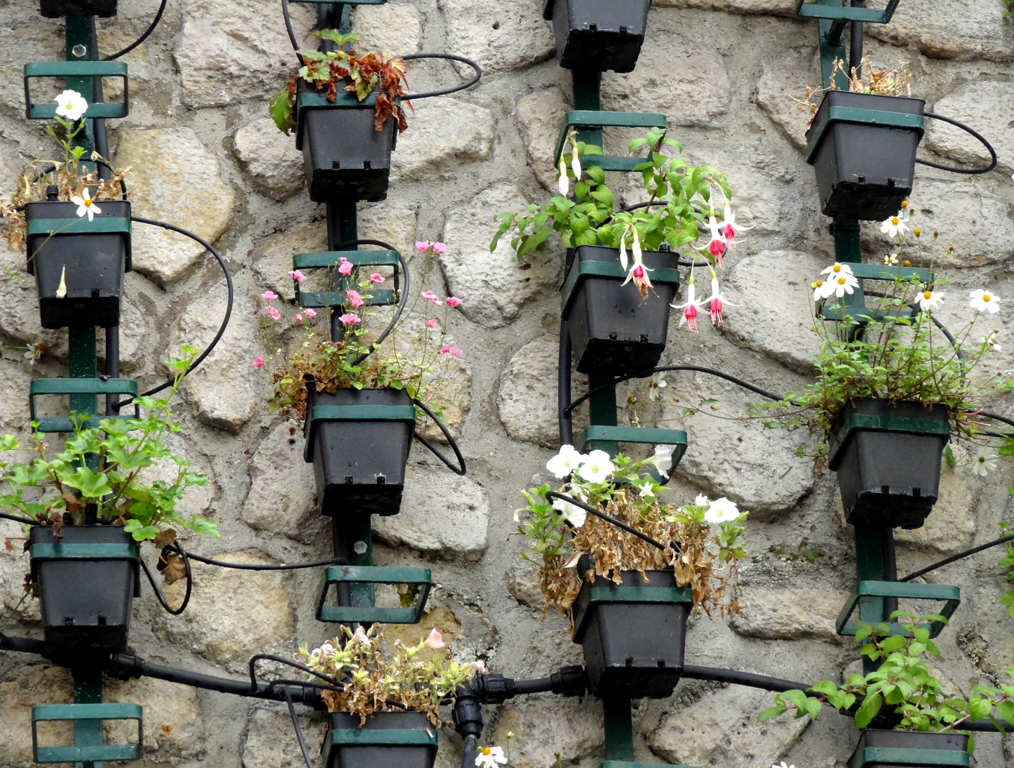 Place Benjamin Fondane | Rogue Embryo