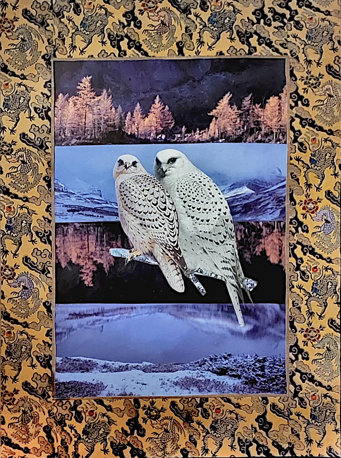 Collage: for Joseph Cornell | Rogue Embryo