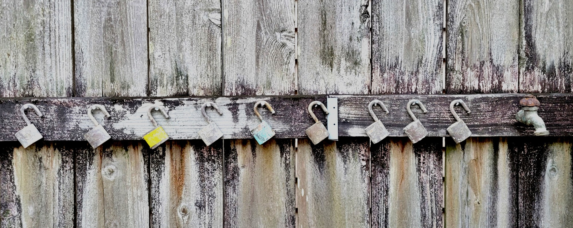 Archaeological fence | Rogue Embryo